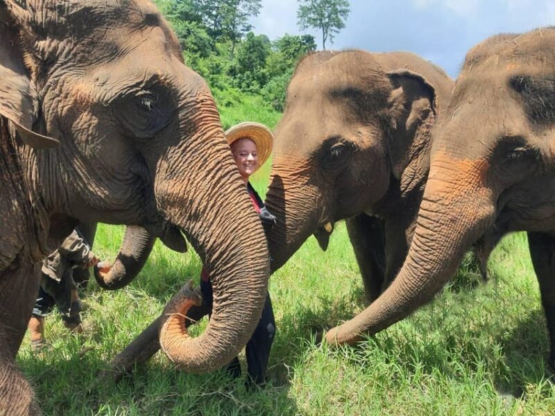 Rantong elephant sanctuary Chiangmai - The Sum Up: Is Rantong Elephant Sanctuary Worth It?