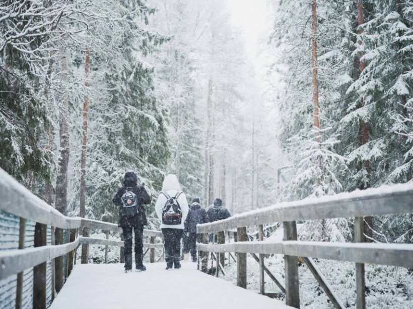 Ranua Wildlife Park Day: Visit the Arctic Animals - Authentic Experiences and Customer Insights