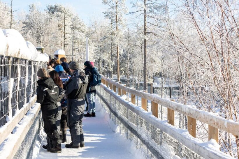 Ranua: Wildlife Park Entrance Ticket - FAQ about Ranua Wildlife Park
