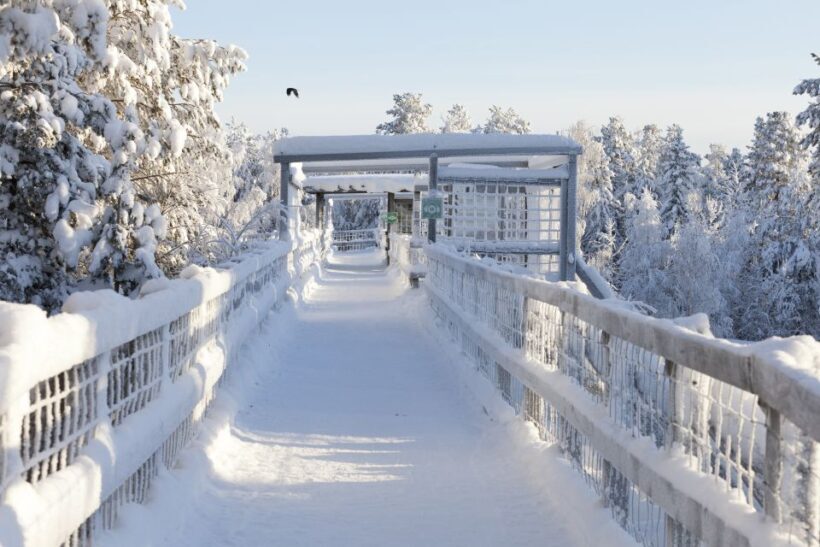 Ranua Wildlife Park Guided Tour from Rovaniemi - Practical Tips for Travelers