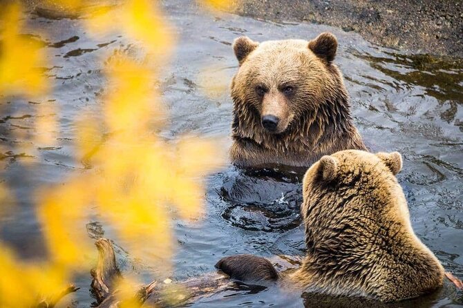 Ranua Zoo- Guided day tour from Rovaniemi - Practical Tips