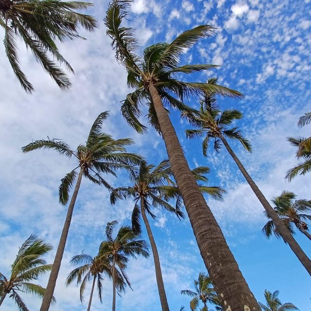 Rapa Nui: 3 Excursions with Hotel Transfers - Day 2: North-West Highlights and the Quarry