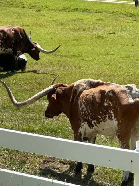 Rapid City: Black Hills Tour with Monument Tour - Who Will Enjoy This Tour?