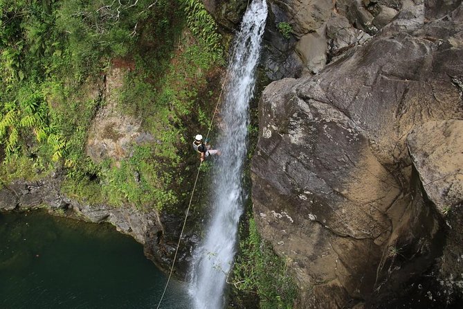 Rappel Maui Waterfalls and Rainforest Cliffs - What the Rappelling Looks Like