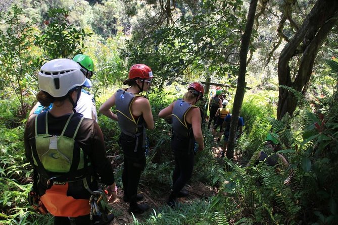 Rappel Maui Waterfalls and Rainforest Cliffs - Who It’s Best For