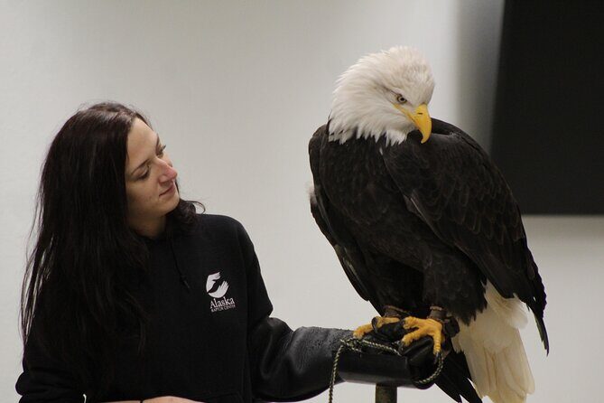 Raptor Encounters and Immersive Dome Experience - Raptor Encounters and Immersive Dome Experience: A Detailed Look