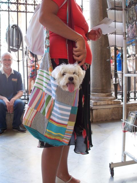 RARE PLANTS IN AOSTA VALLEY - Key Points