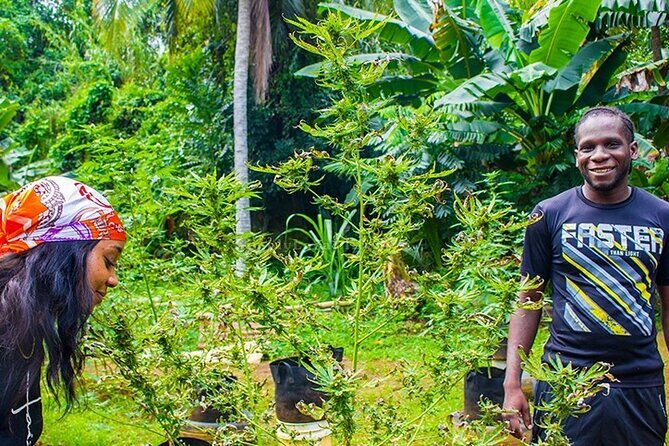 Rastafari ATV Experience Farm Tour Shopping Montego Bay Jamaica - FAQ