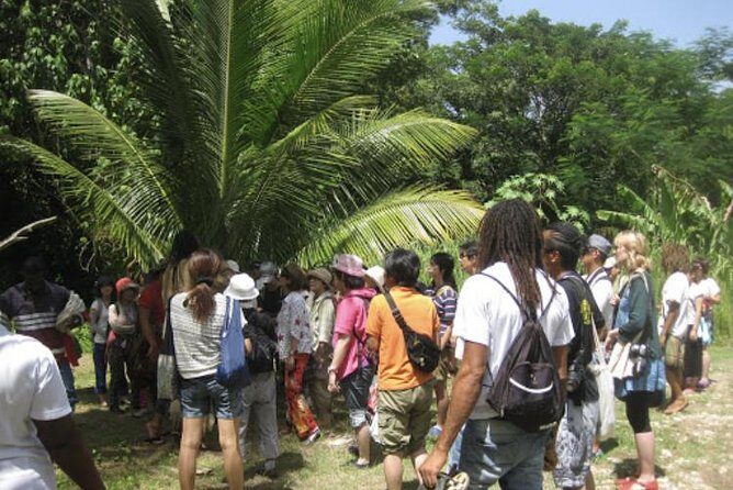 Rastafari Indigenous Village Tour - An In-Depth Look at the Rastafari Indigenous Village Tour