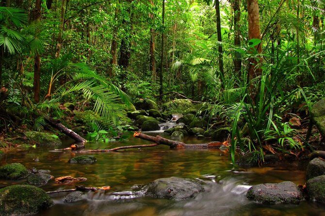 Ratnapura Full Day Tour with Water Falls, Gem Mines and Saman Devalaya - Key Points