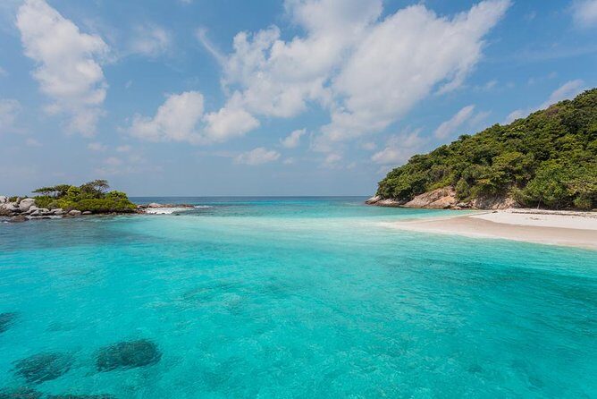 Raya & Coral Island - Price and Value