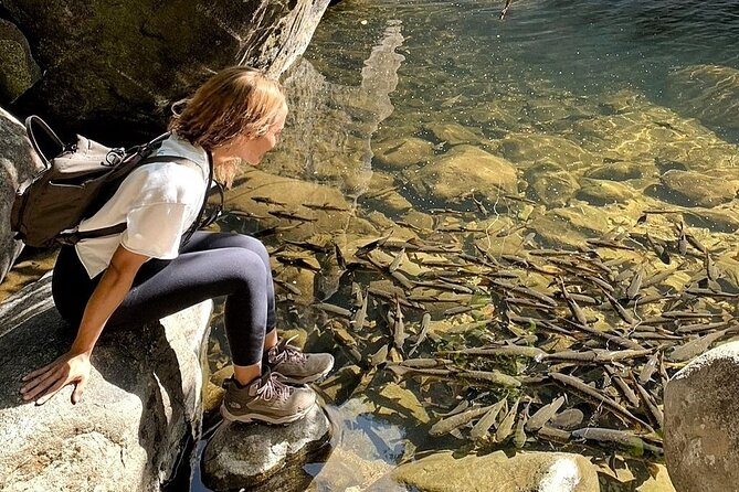 Rayong Adventure Full day Trip from Pattaya - Wrapping Up: Who Should Consider This Tour?