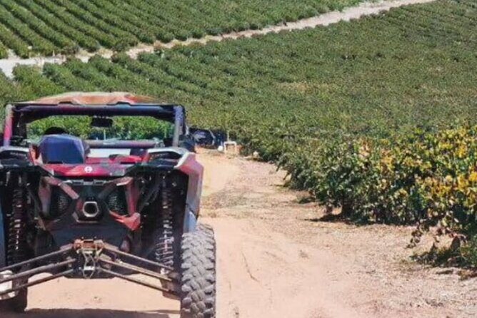 Razer Valley of Guadalupe Tour & Elena Restaurant & Bakus - Authentic Experiences and Genuine Value