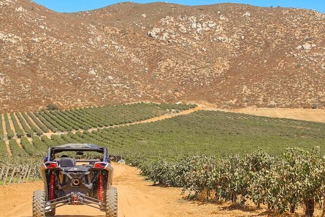 Razer Valley of Guadalupe Tour & Elena Restaurant & Bakus - Who Will Enjoy This Tour?
