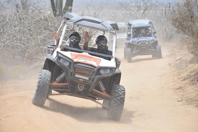 Razors in Cabo San Lucas - An Overview of What to Expect