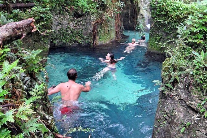 Reach Falls Adventure Tour from Port Antonio - The Itinerary in Detail