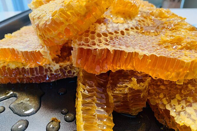 Reagans Honey Beekeeping Adventure - Key Points
