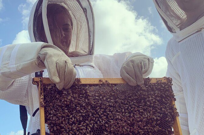 Reagans Honey Beekeeping Adventure - Final Thoughts: Who Should Consider This Tour?