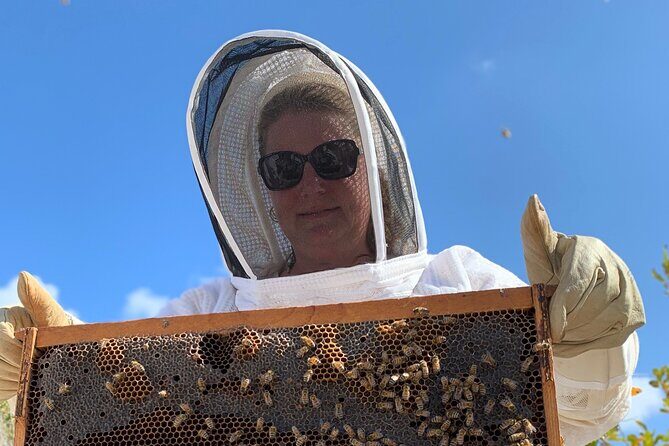 Reagans Honey Beekeeping Adventure - FAQ