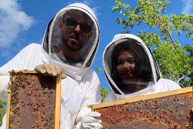 Reagans Honey Beekeeping Adventure - In The Sum Up