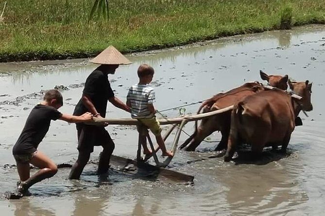 Real Bali Life -Traditional Village Experience ( All Inclusive) - FAQ about the Traditional Village Experience Tour