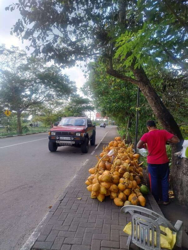 Real Essence of Colombo - Sightseeing & Cultural Exposure - Authenticity, Convenience, and Value