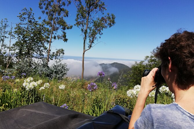 Real Life, Mountains & Sea Cliffs + Lunch + Levada Walk - 6 Hours - Sightseeing Tour in Funchal