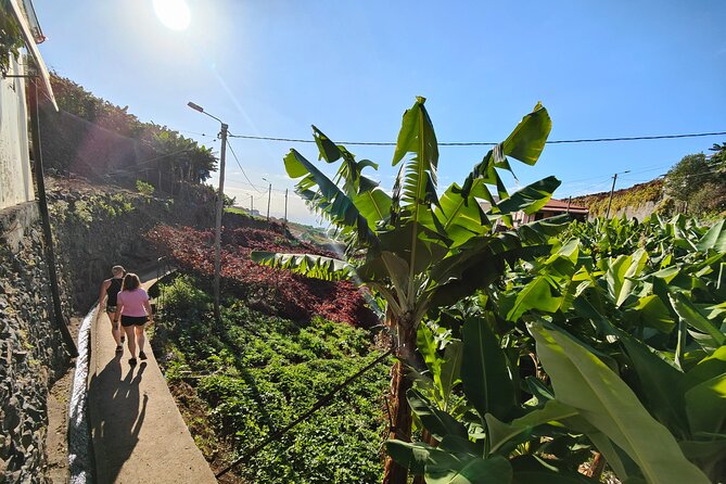 Real Life, Mountains & Sea Cliffs (Nun´s Valley View) - Half Day 4x4 Tour - Price and Value Analysis