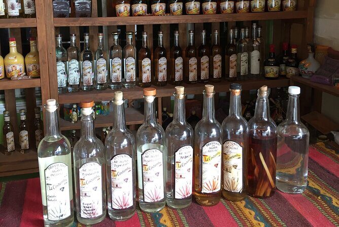 Real Mezcal Adventure - Who Should Consider This Tour?
