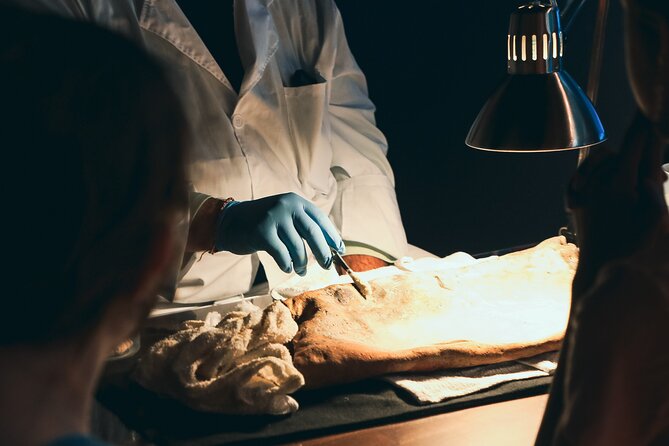 Real Pirates Salem Museum General Admission Ticket - The Interactive and Educational Experience