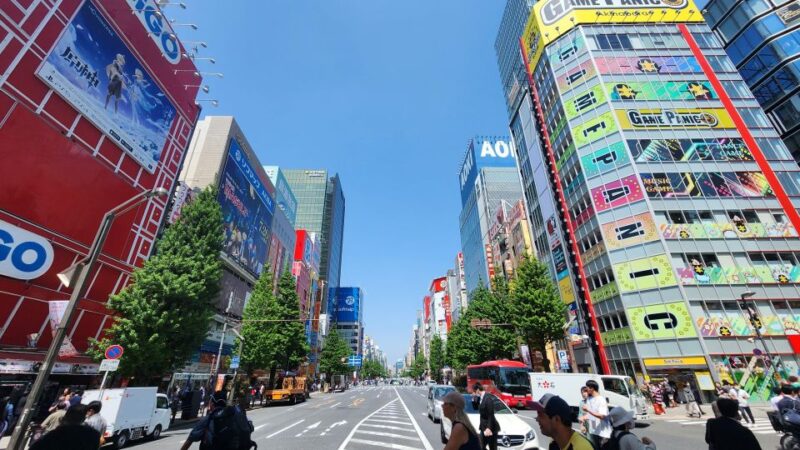 Real Tokyo in One Day With a Local - Inclusions and Accessibility
