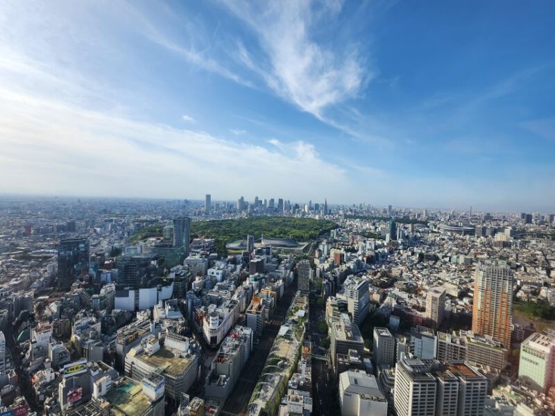 Real Tokyo in One Day With a Local - Frequently Asked Questions
