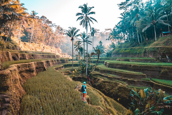 Real Ubud Private Customised Tour By Local Guides - Detailed Itinerary Breakdown