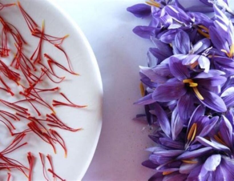 Recco: Cooking Class with Market Visit and Sea Views - What to Expect from the Recco Cooking Class