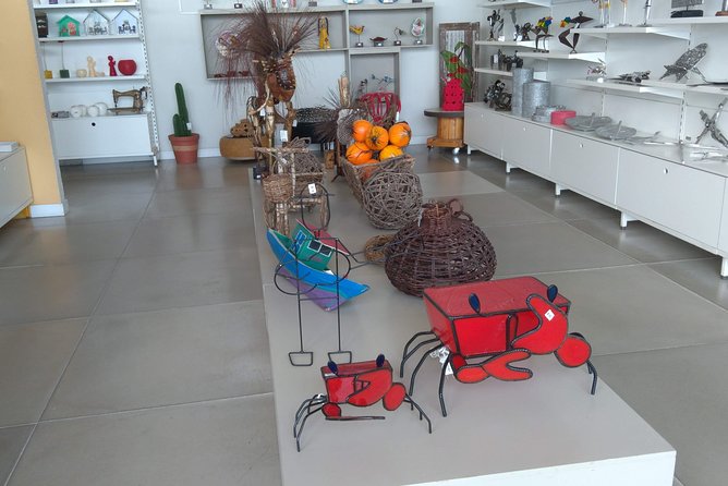 Recife & Olinda City Tour - What to Expect