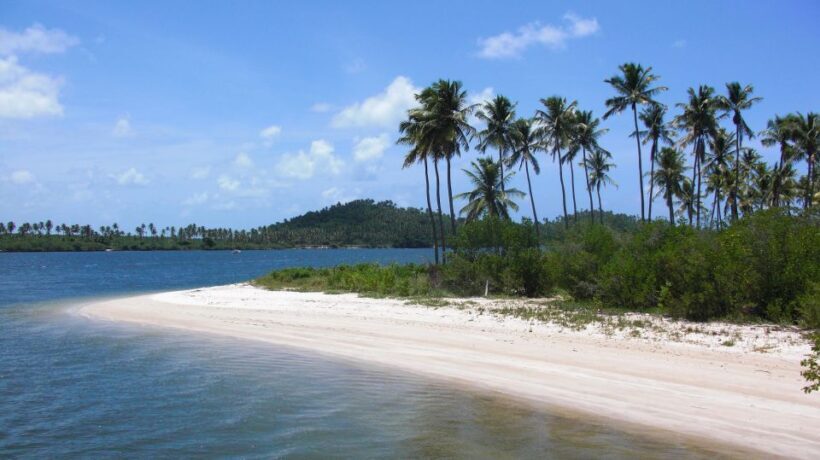 Recife: Tour to Carneiros with Catamaran Ride - Key Points