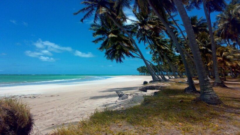 Recife: Tour to Carneiros with Catamaran Ride - FAQs