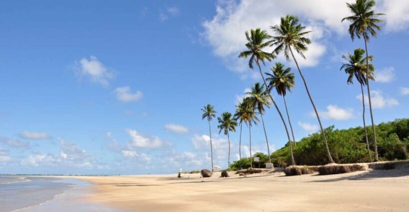 Recife: Tour to Porto de Galinhas - Introduction