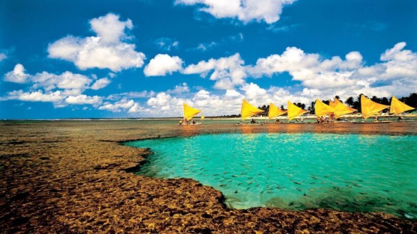 Recife: Tour to Porto de Galinhas - The Practical Side