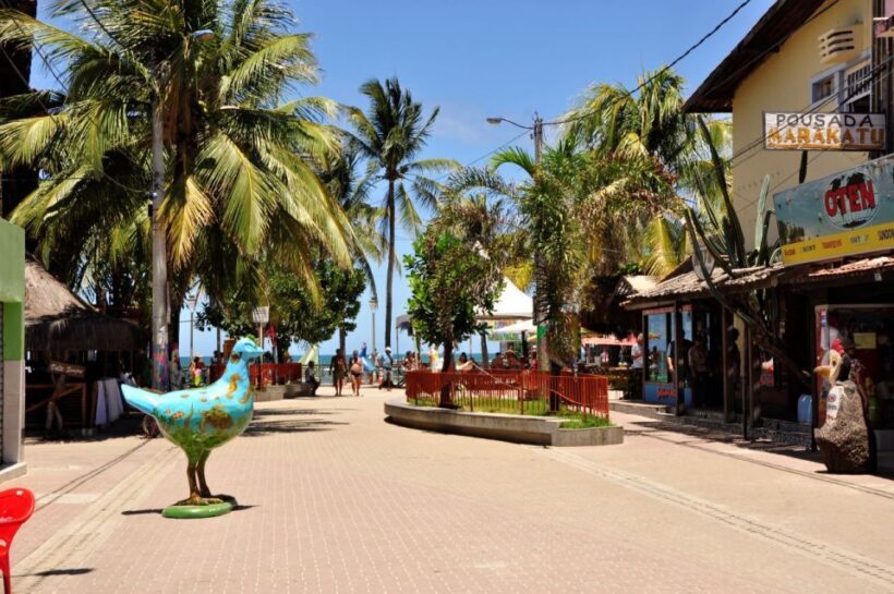 Recife: Tour to Porto de Galinhas - Authentic Experiences and Traveler Insights