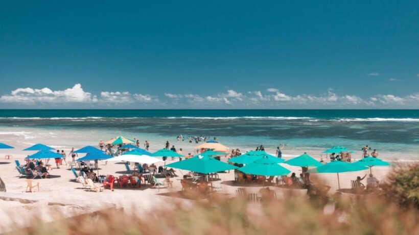 Recife: Tour to Porto de Galinhas - Why This Tour Delivers Value