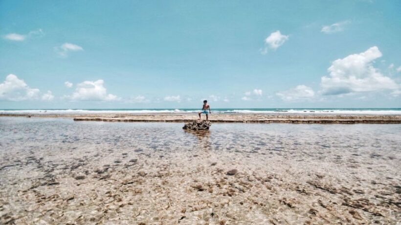Recife: Tour to Porto de Galinhas - The Sum Up