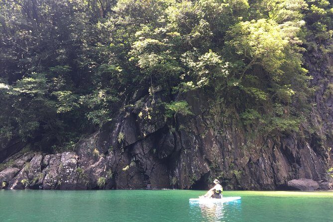 [Recommended on arrival date or before leaving! ] Relaxing and relaxing water walk Awakawa River SUP [Half-day tour] - What to Expect from the Yakushima SUP Water Walk