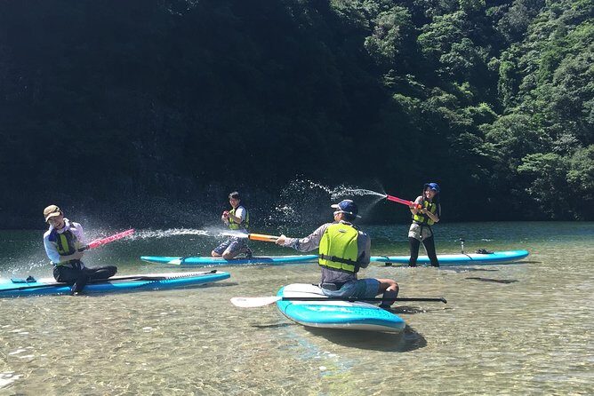 [Recommended on arrival date or before leaving! ] Relaxing and relaxing water walk Awakawa River SUP [Half-day tour] - Why This Tour Offers Good Value