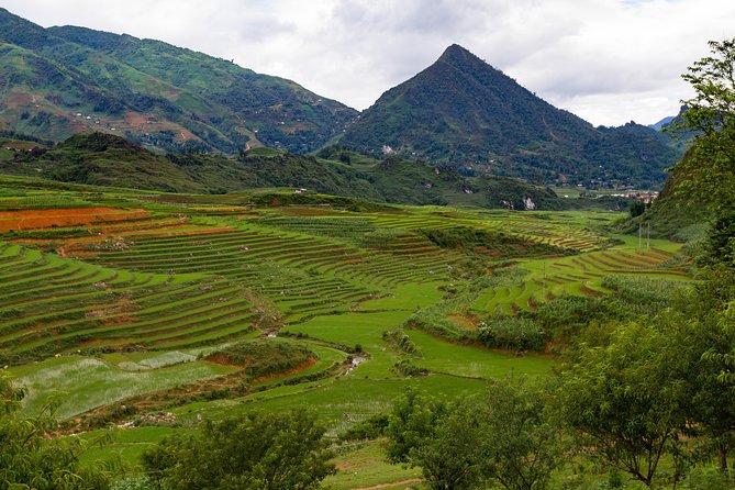 Red Dao village trek and Herbal bath - An In-Depth Look at the Tour Experience
