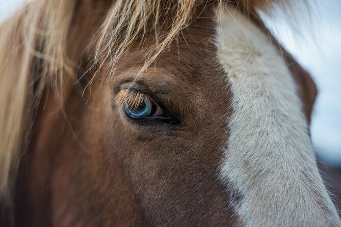 Red Lava Horse Riding Tour From Reykjavik - Detailed Itinerary Breakdown