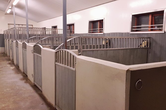 Red Lava Horse Riding Tour From Reykjavik - The Practical Side: Transportation, Price, and Group Size