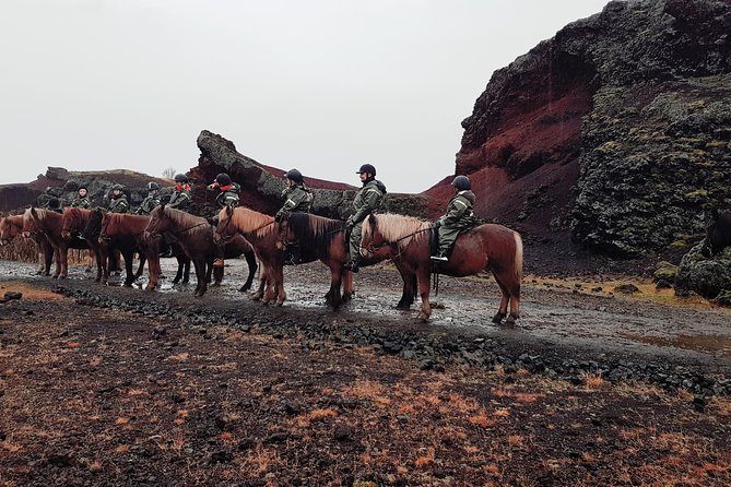 Red Lava Horse Riding Tour From Reykjavik - Final Thoughts: Who Should Book This Tour?
