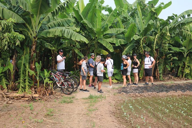 Red River island backroad, Rural Countyside Area and Train Street - Practical Tips for Travelers