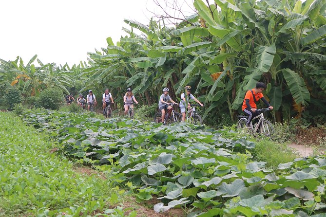 Red River island backroad, Rural Countyside Area and Train Street - FAQs